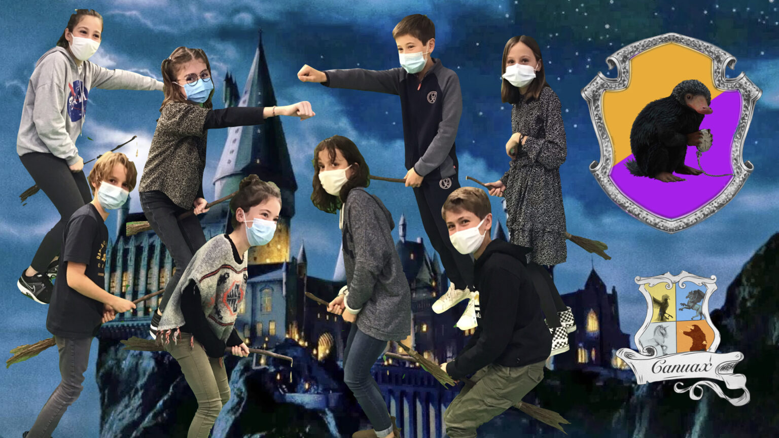 Projet Harry Potter (en 6e) - École et collège La Salle Félix Aunac